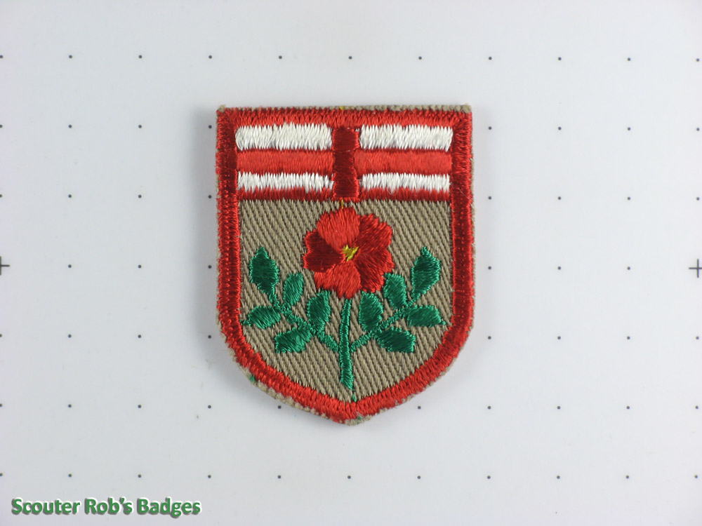 Scouter Rob's Badges