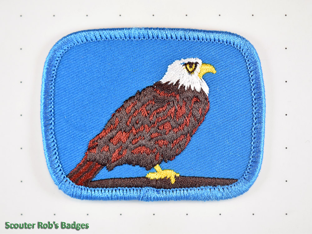 Scouter Rob's Badges