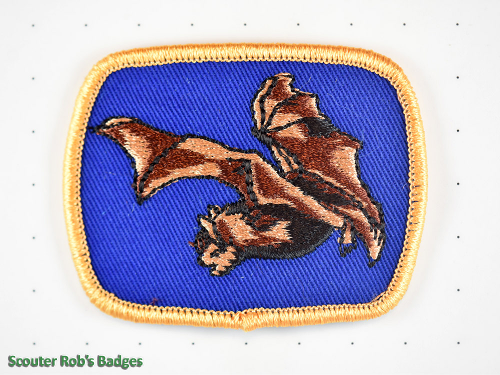 Scouter Rob's Badges